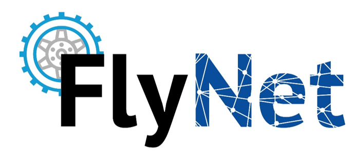 FlyNet - Forschungsinstitut für Unternehmensführung, Logistik und ...